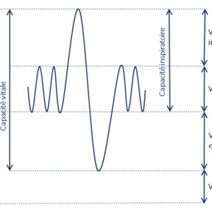 Exploration fonctionnelle respiratoire (EFR) : ce que doit savoir l ...